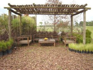 + 20 Pérgolas de Madera Rústica: Encanto para Tu Espacio Exterior ...